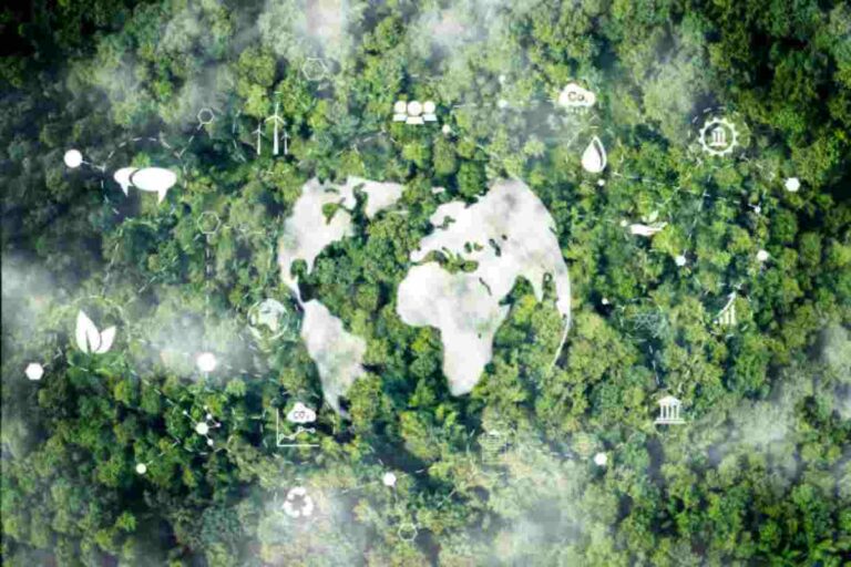 Giornata Mondiale della Foresta Pluviale, cosa si può fare per ...